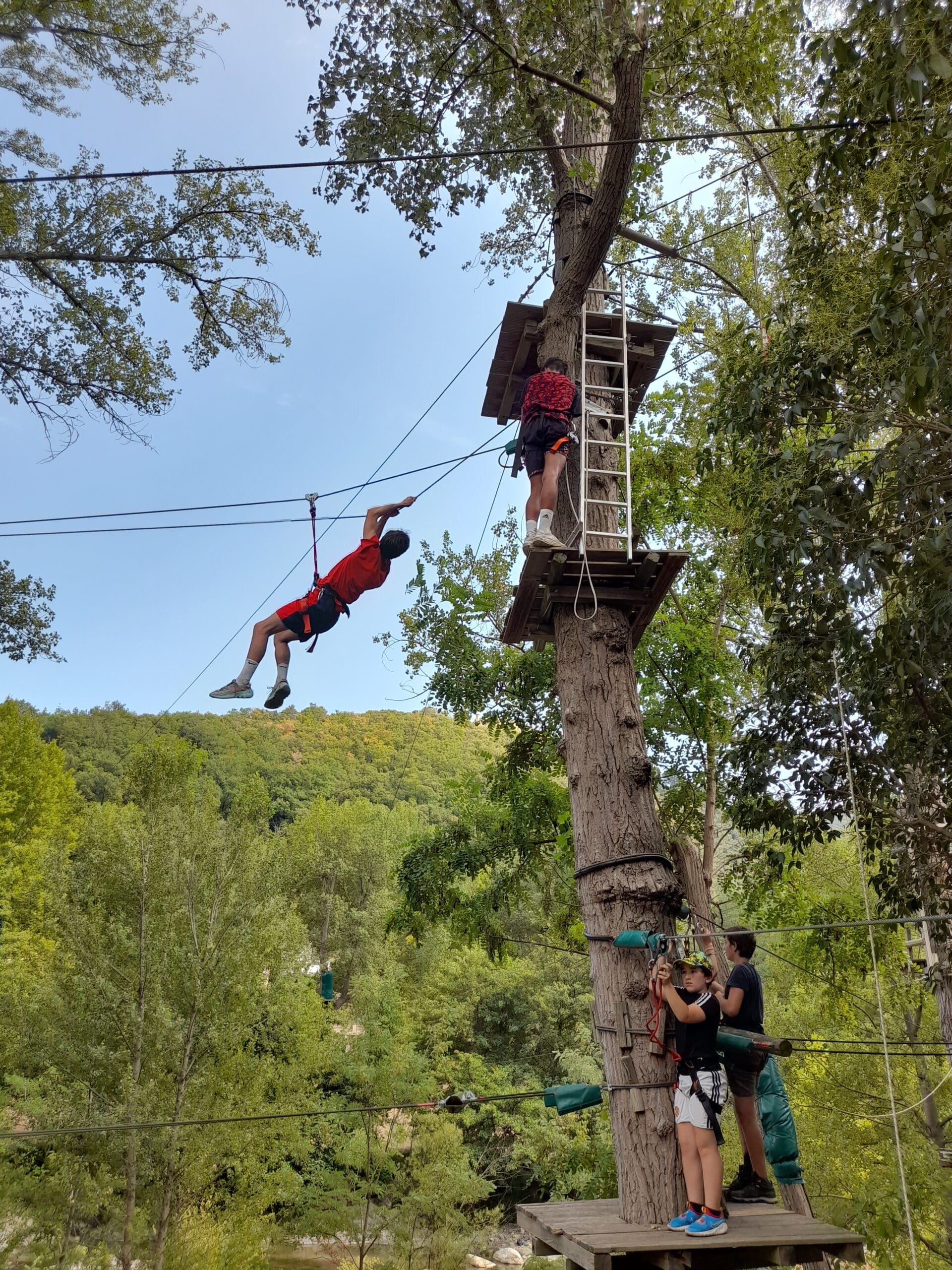 Accrobranche Pyrénées Orientales
